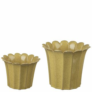 Scallop Pot (Yellow) – Blooms Glasgow