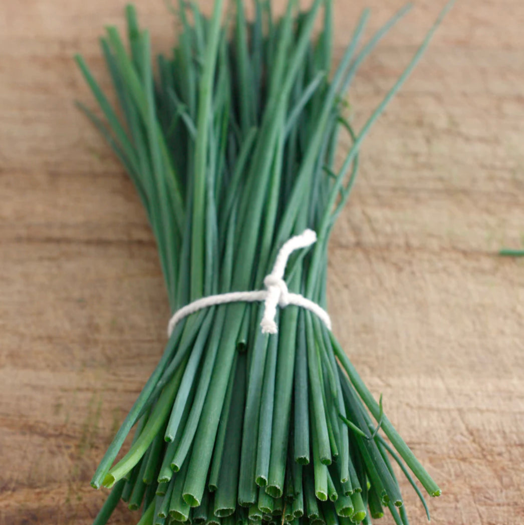 Chives Fine Leaf – Blooms Glasgow